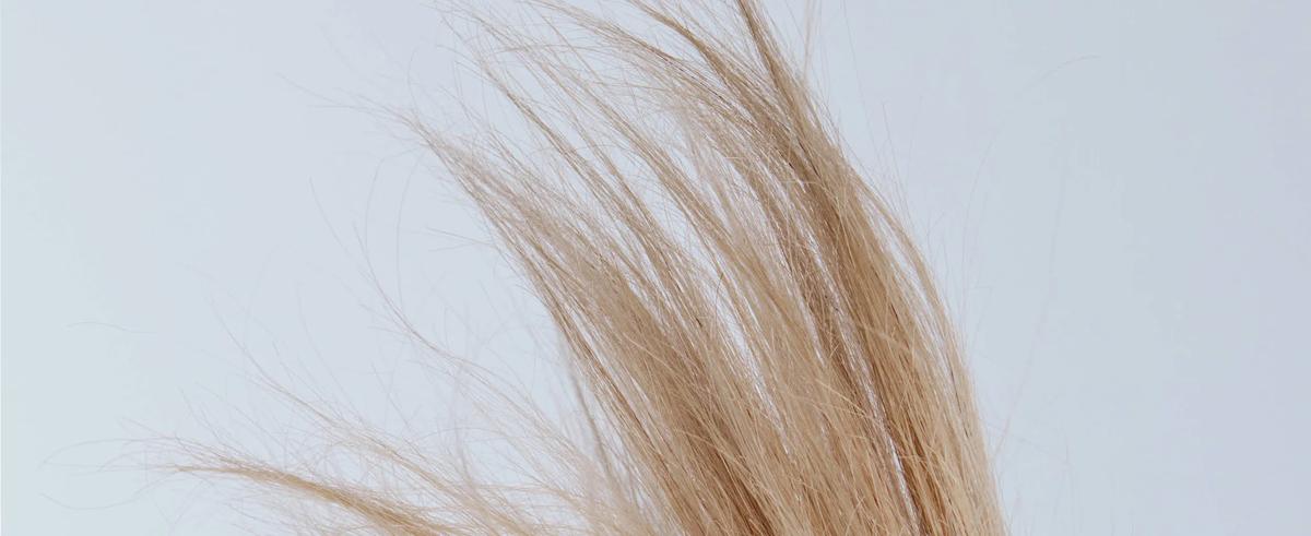 Products for Damaged Hair and Split Ends | Wella Professionals GB